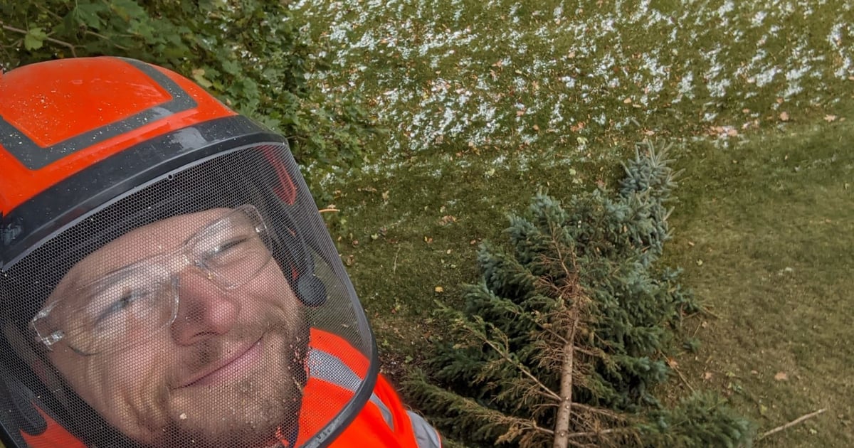 About Joutras Tree Care | Joutras Tree Care LLC