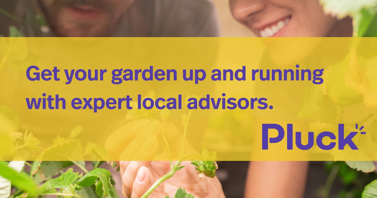 Start Your Garden with Custom Planning | Pluck Experts | Pluck