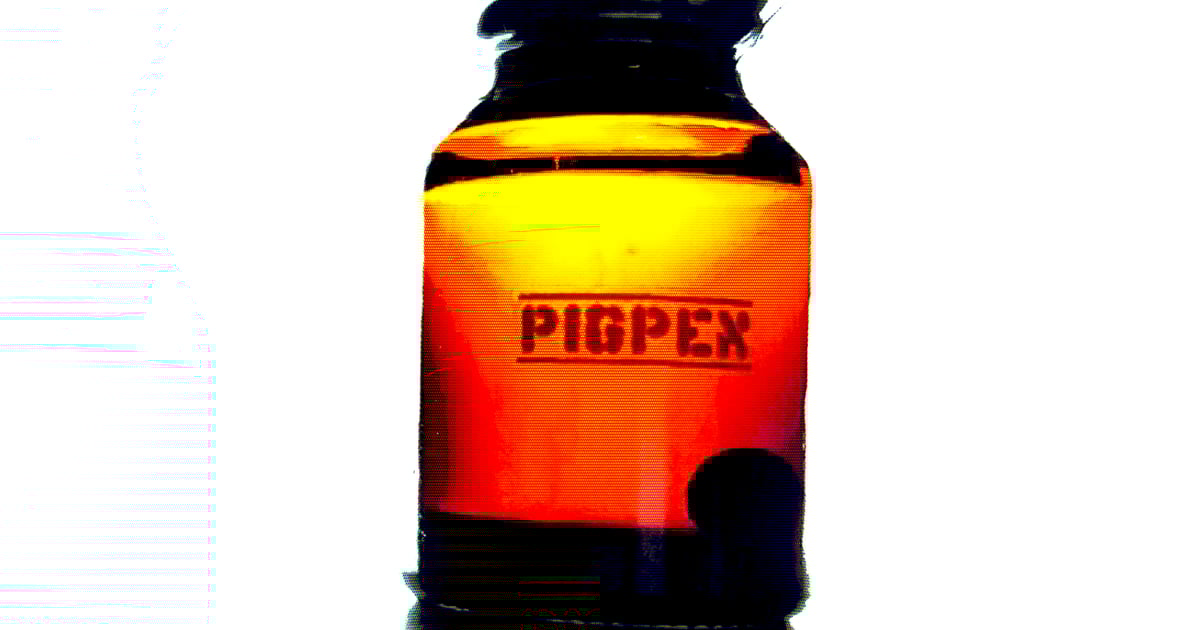 PGPN Global: Home of PIGPEN, NYPACC, 399 Club and PGPNcreative | PGPN ...