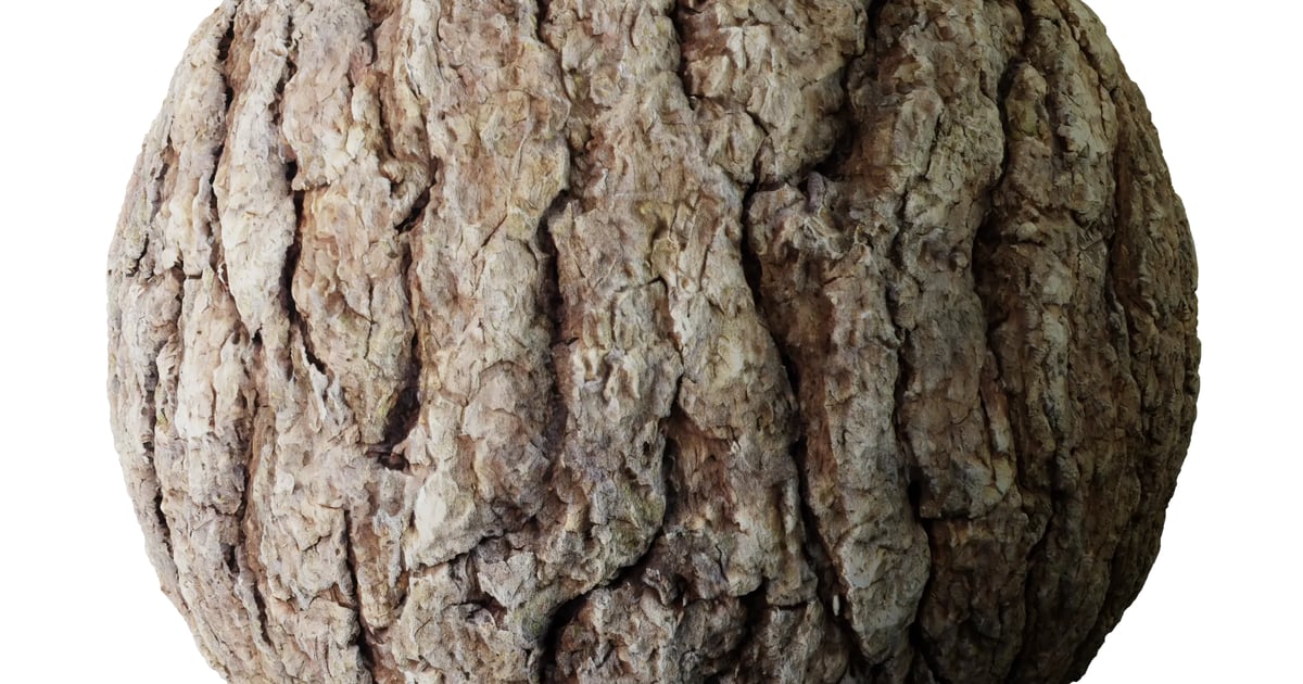 Free Tree Bark Texture, Seamless high resolution bark texture | Grafik ...