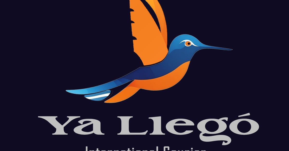 Servicios de Casillero y Courier Internacional | Ya llegó