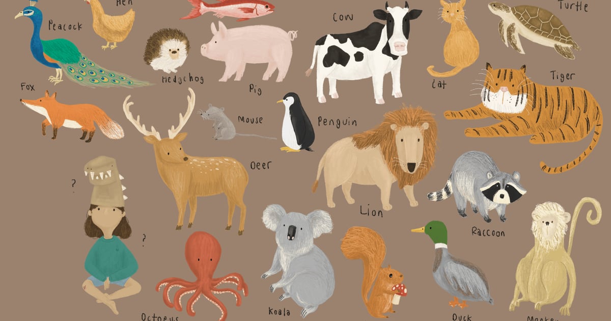 Explore Cardboard Crown's Designs: Illustrate your Daily Life with ...