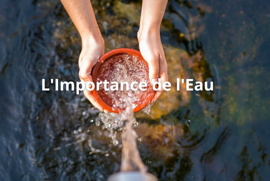 L'Importance de l'Eau, la réduction de la consommation d'eau ...