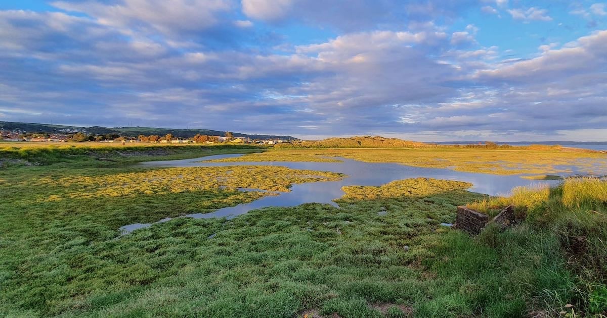 Self-Catering Accommodation | Quiet Holiday Cottages | Cambrian Cottages
