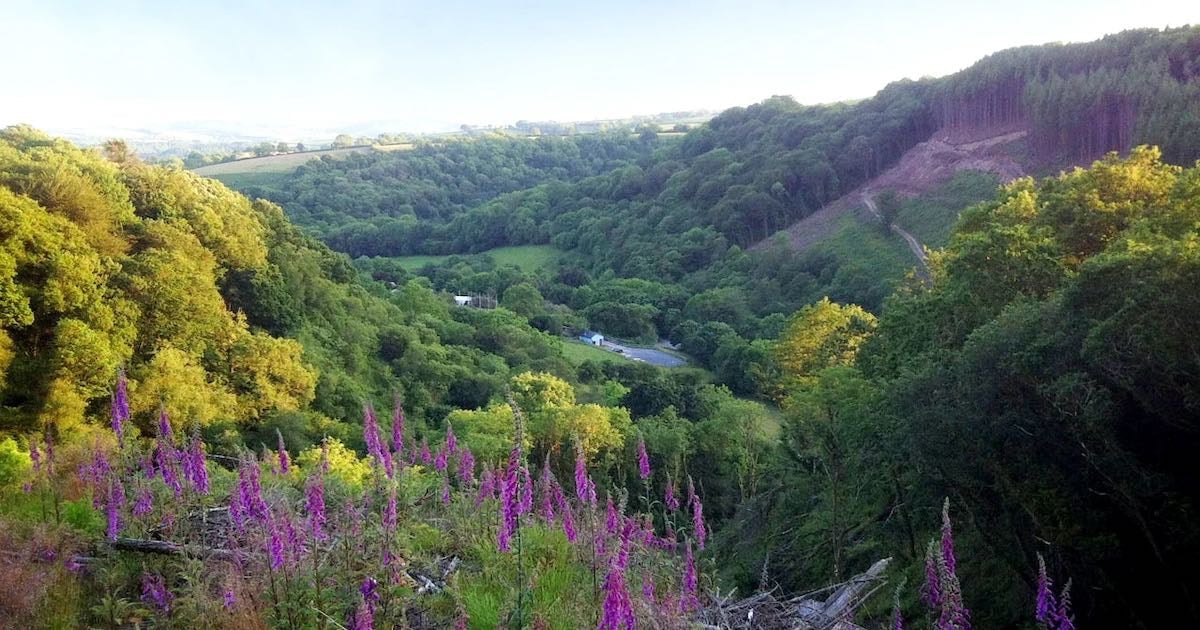 Self Catering Cottage | Places to Stay Near Skanda Vale | Cambrian Cottages