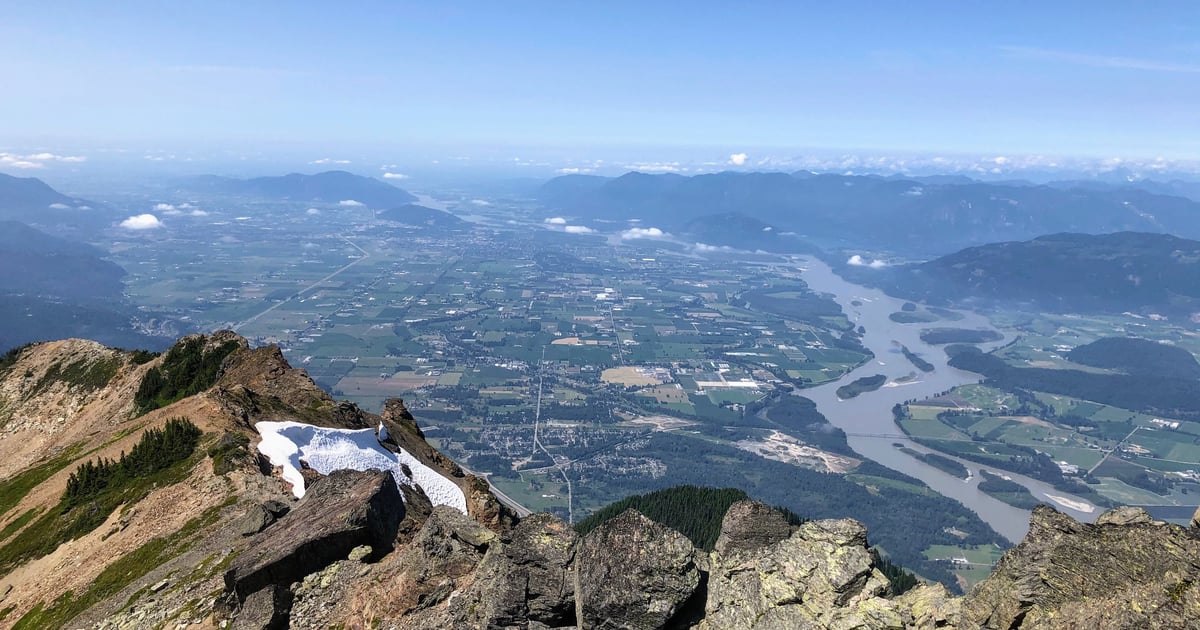 Cost-Effective Design of Buildings up to 600m2 | Delta Building Design