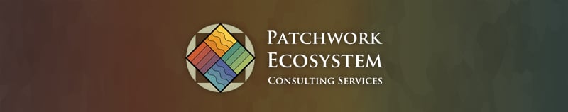 Patchwork Ecosystem Consulting Services