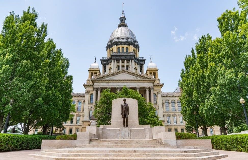 Contact | Springfield Tree Service