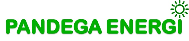 Energy-Efficient Lighting Solutions for Sustainable Future | Pandega Energi