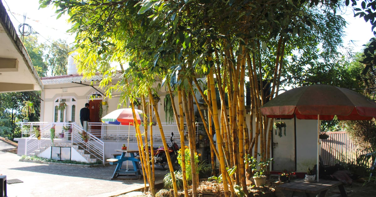 Yellow Bamboo Homestay in Sittong Forest | Blackinc