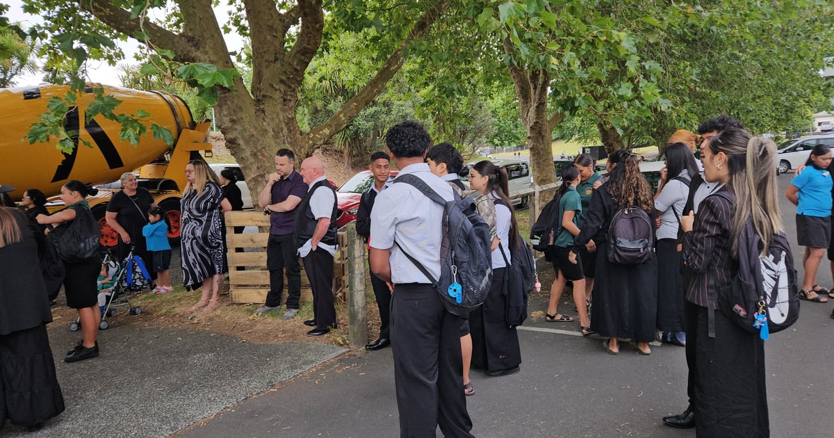 Te Taamatatanga o Pukekohekohe – A New Chapter Begins in 2025