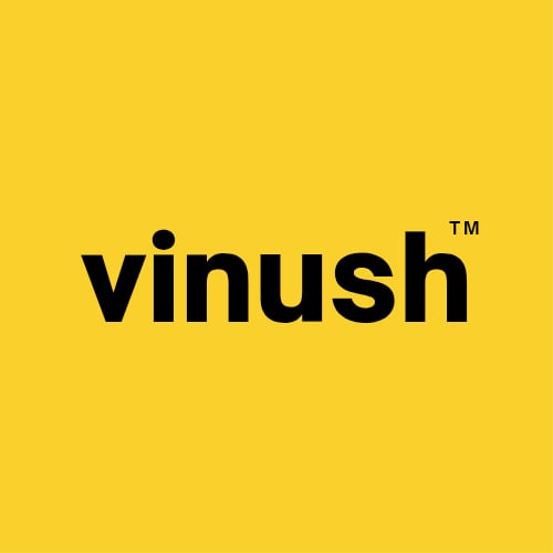 Expert Recruitment Agency Services for Your Hiring Needs | Vinush