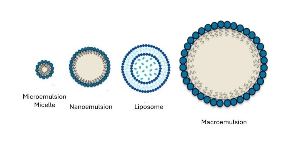 Emulsion, Nanoemlusion, Microemulsion, Micelle and Liposome | Nature ...