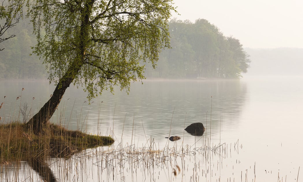Thérapie Gestalt à Barcelone, français et espagnol | Therapie Barna