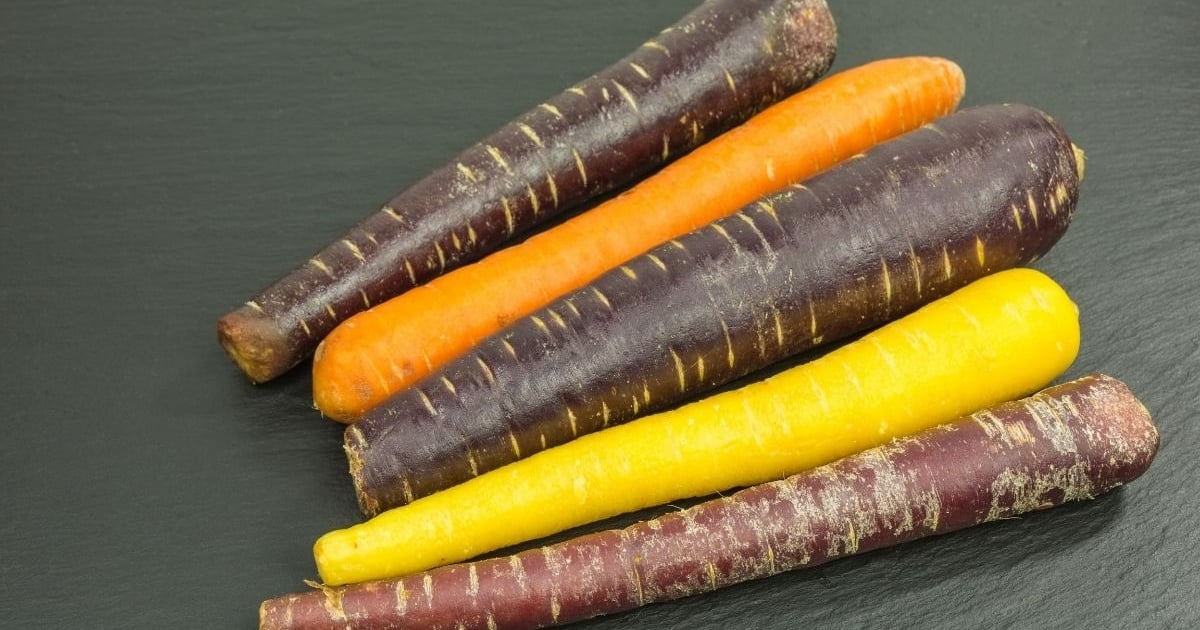 Everything About Carrots: History, Global Reach, and Health Benefits ...