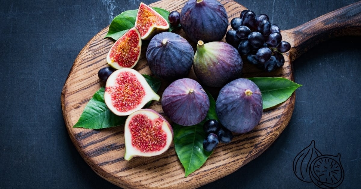 Everything About Figs: Origins, Uses, Nutritional Power & Vegan ...