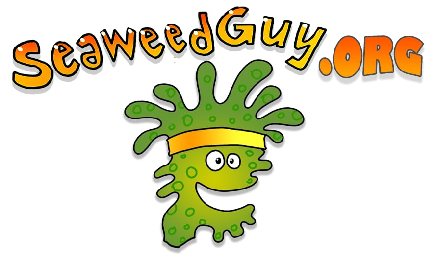 Seaweed Sign Up! Enlist in the Seaweed Squad | Sea Weed Guy