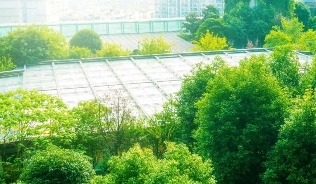 Designing with Nature: Biourbanism and the Path to Resilient Cities ...