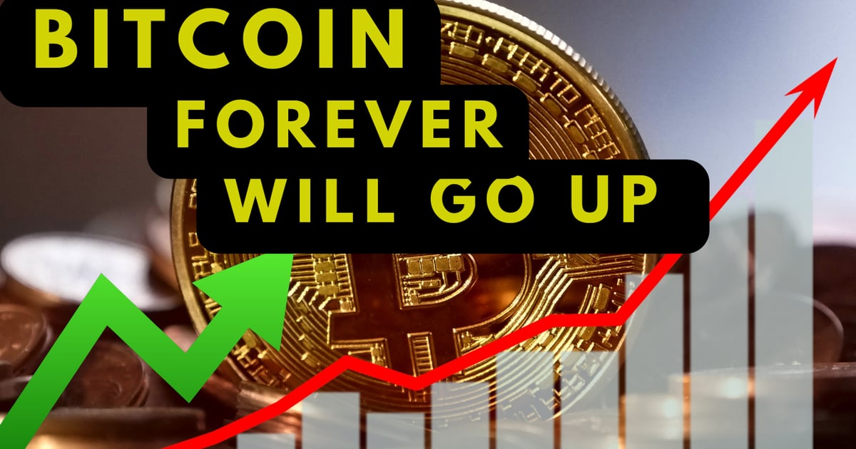 Why Bitcoin is Destined to Rise Forever | Transform Your Online ...