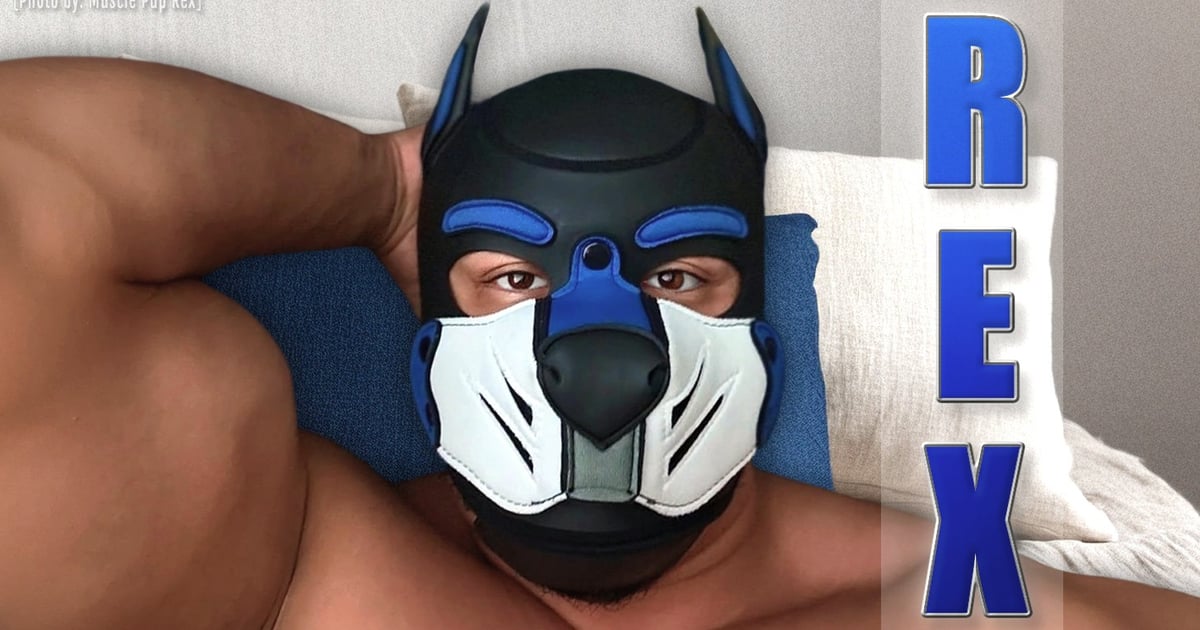 Muscle Pup Rex | Pup-World