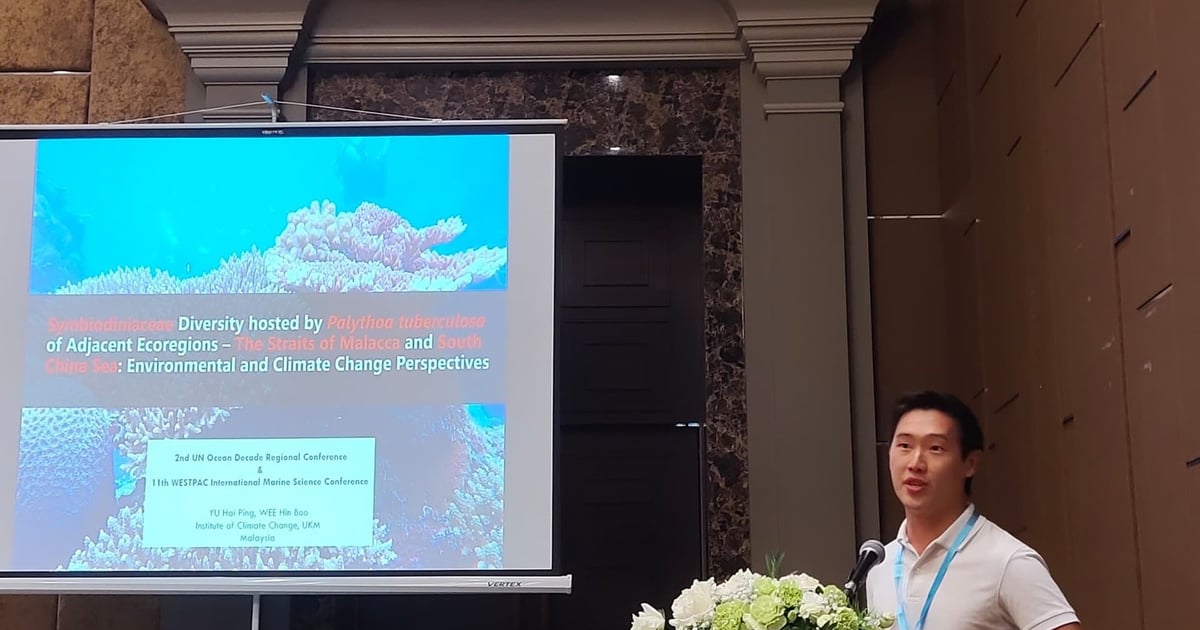 JellyGO Shines at UN Ocean Conference | Ocean Hackathon 2025