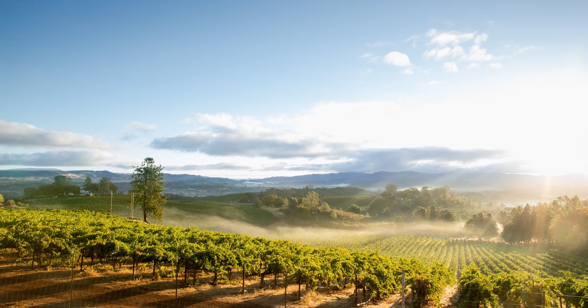 Canyon Ranch Winery: Exquisite Napa Valley Cabernet | Canyon Ranch ...