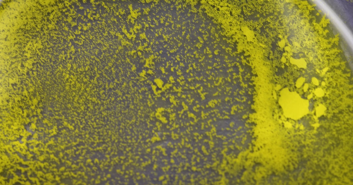 Diffusion - science of smells | SCIENCE GEEKS