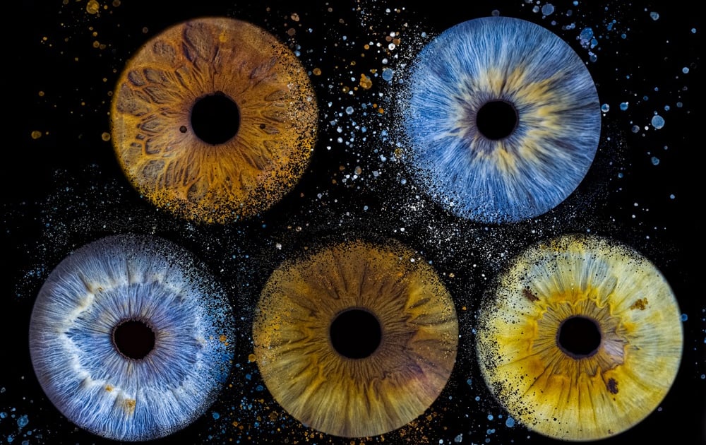 Photographie d'iris unique à Bordeaux - Photo Iris Bordeaux | Photo ...