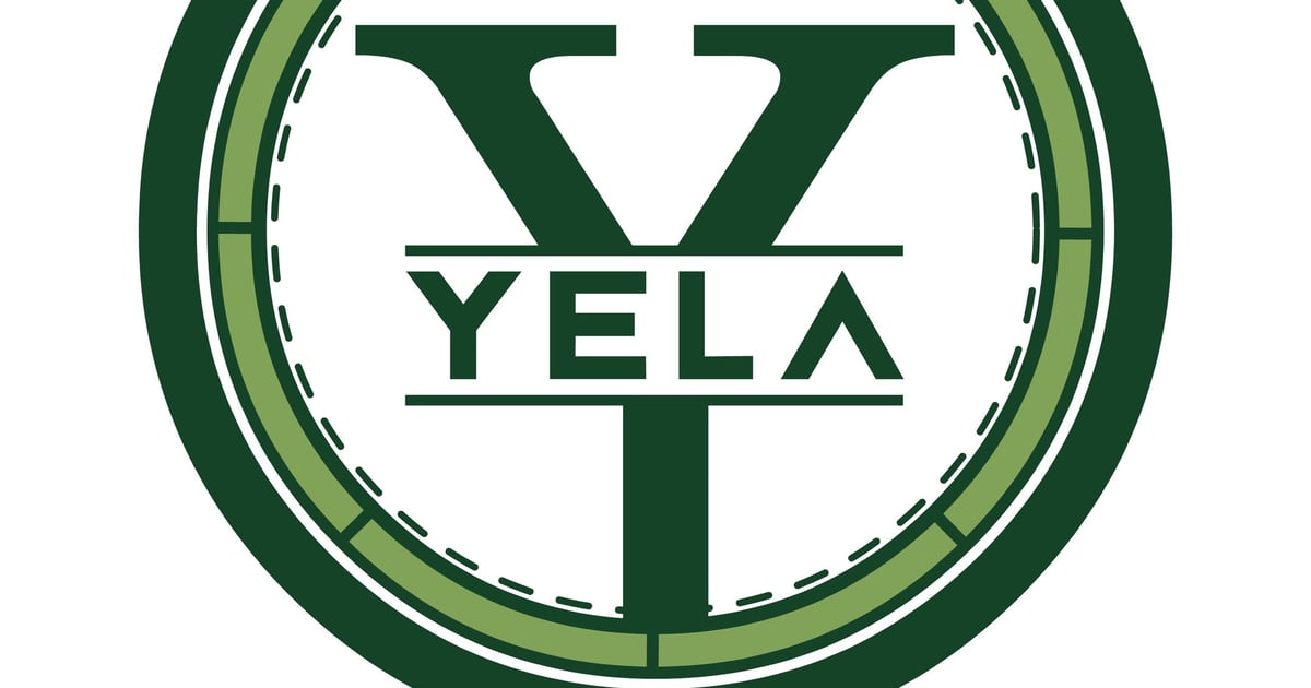 Yela Energy - Solar Panel Manufacturers | Shaping the Future | Yea Energy