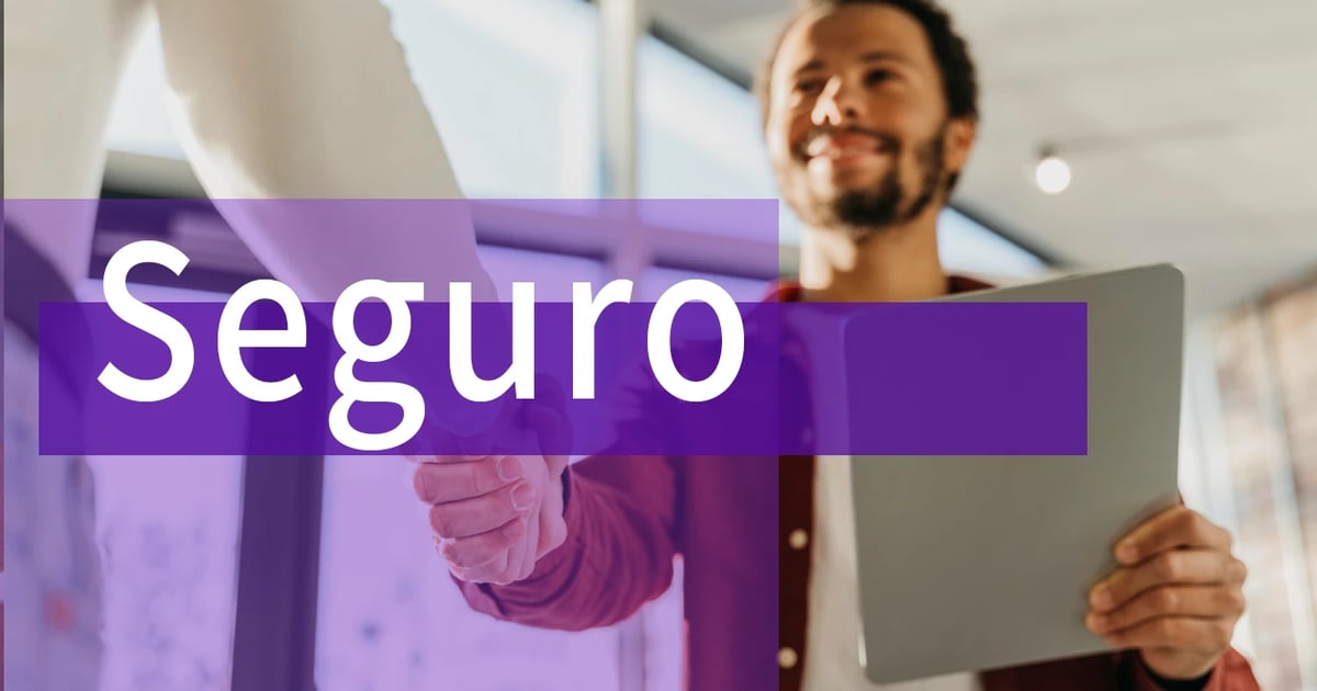 Seguro: o que é, como funciona, importância e quais os tipos existentes ...