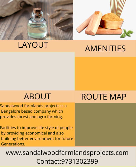 Sandalwood Farming: The Value of Indian Sandalwood Oil and Wood ...