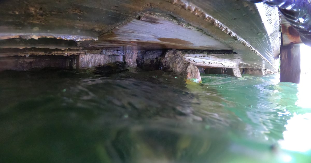 Common Causes of Seawall Failure in South Florida | Call Us Today
