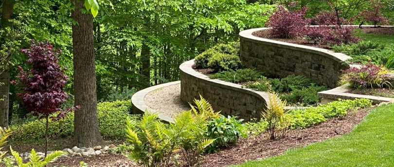 Professional Landscaping vs. DIY: Why Hiring Experts Saves Time, Money ...