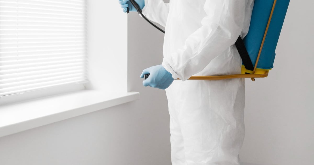 Mold Removal Sandy UT Solutions | Top-Quality Mold Remediation Sandy ...