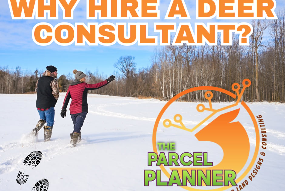 Why Hire a Deer Consultant for your Land? | The Parcel Planner ...
