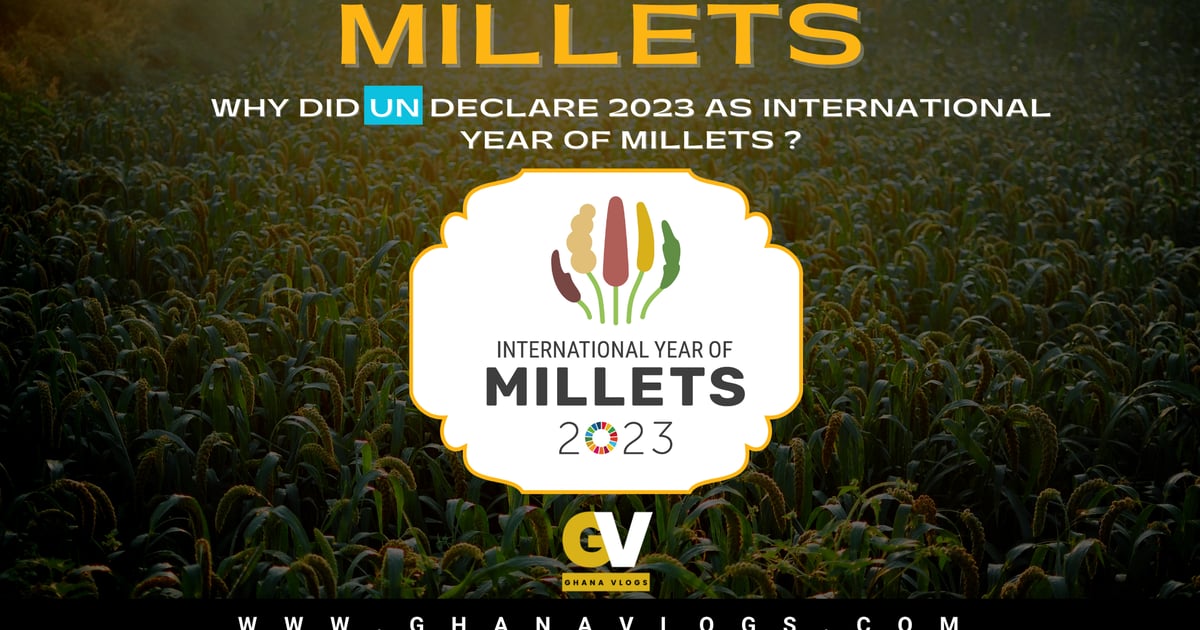 Why did UN declare 2023 as International Year of Millets? | Number One ...