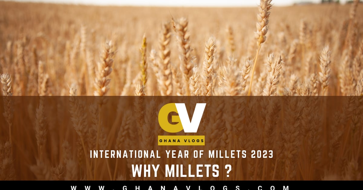 Why Millets are important to the world? | Number One Ghana Web Portal ...