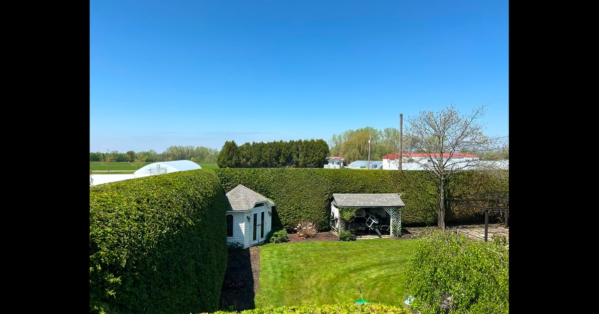 Soumission-Bellcourt Paysagement pour vos projets paysagers | BellCourt ...