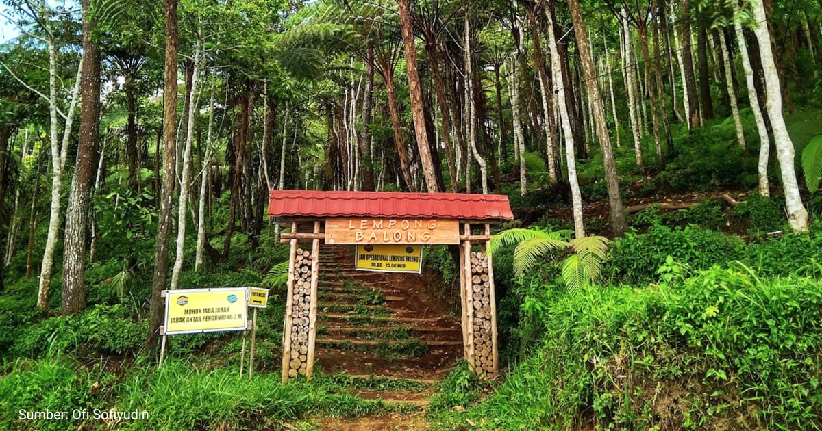 Kawasan Wisata Lempong Balong: Pesona Herpetofauna Taman Nasional Gunung Ciremai | RIMBARAYA ...