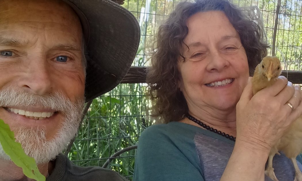 Super Haggis | Resins by Randy - Official Site