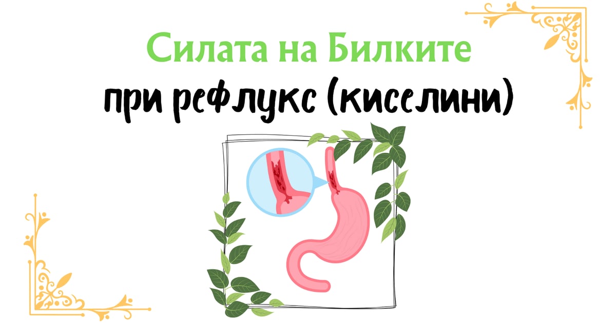 Рефлукса и билките: Как да забързаме процеса по възстановяване с 300%?
