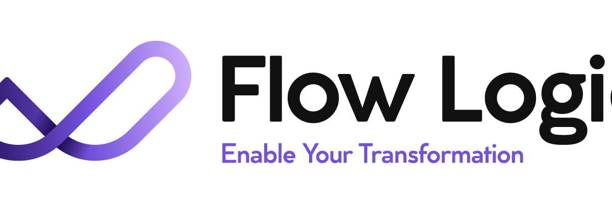Expert Transformation Management & Project Support | Flow Logic