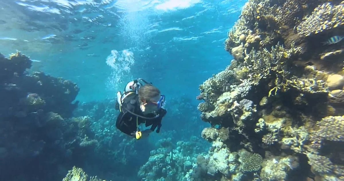 Red Sea Deeps and Beyond… | Marine Mining