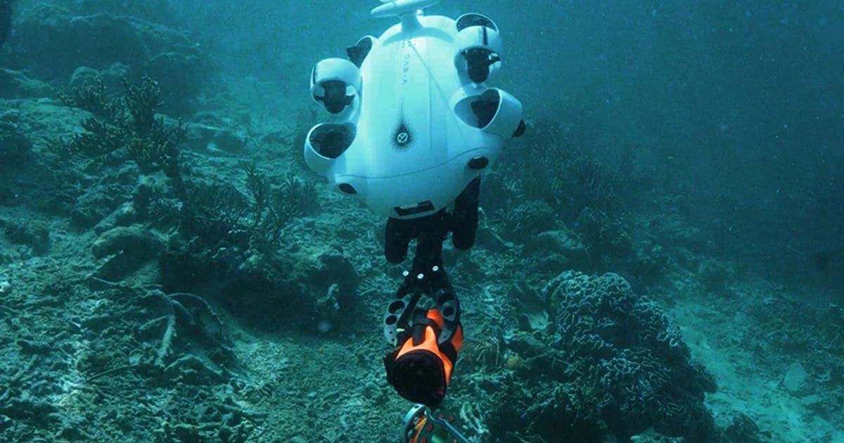 The Egyptian Special Exclusive Economic Zone (Egypt-EEZ) | Marine Mining