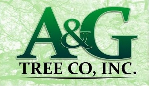 A&G Tree Company Inc | A&G Tree Company Inc