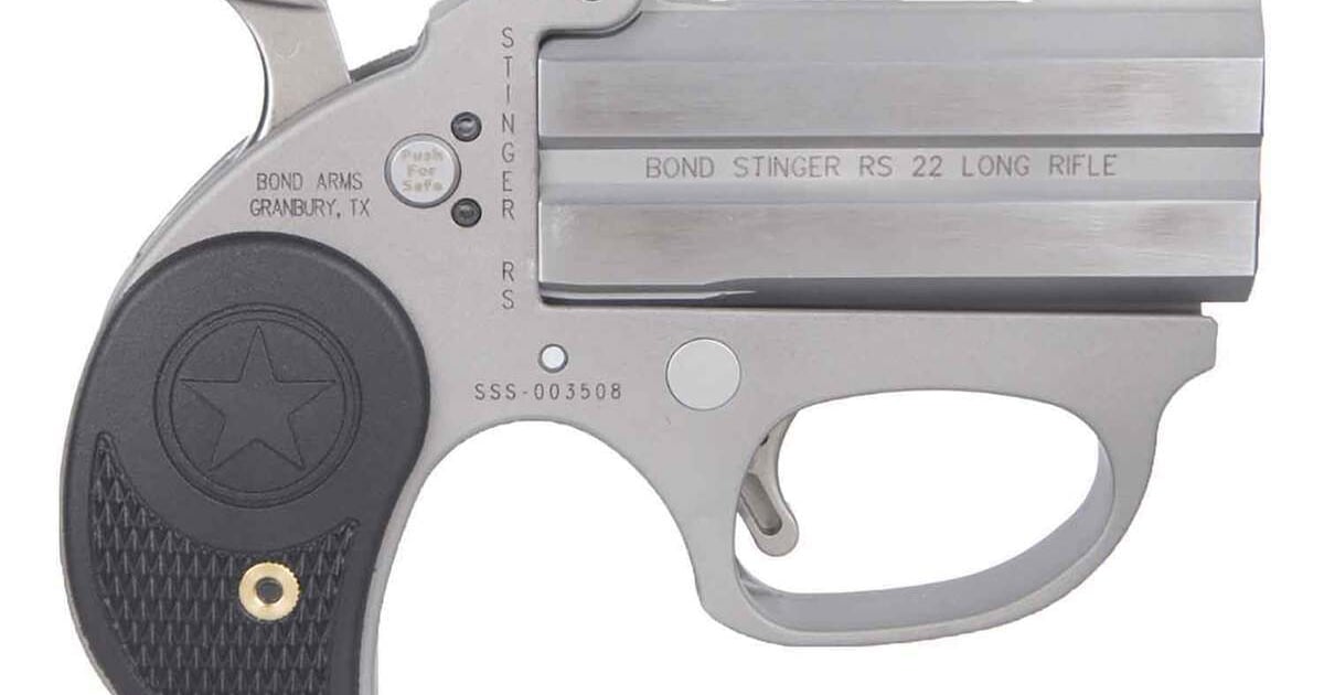 22 Caliber Derringer | Derringer Dan