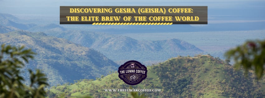 Discovering Gesha (Geisha) Coffee: The Elite Brew of the Coffee World ...