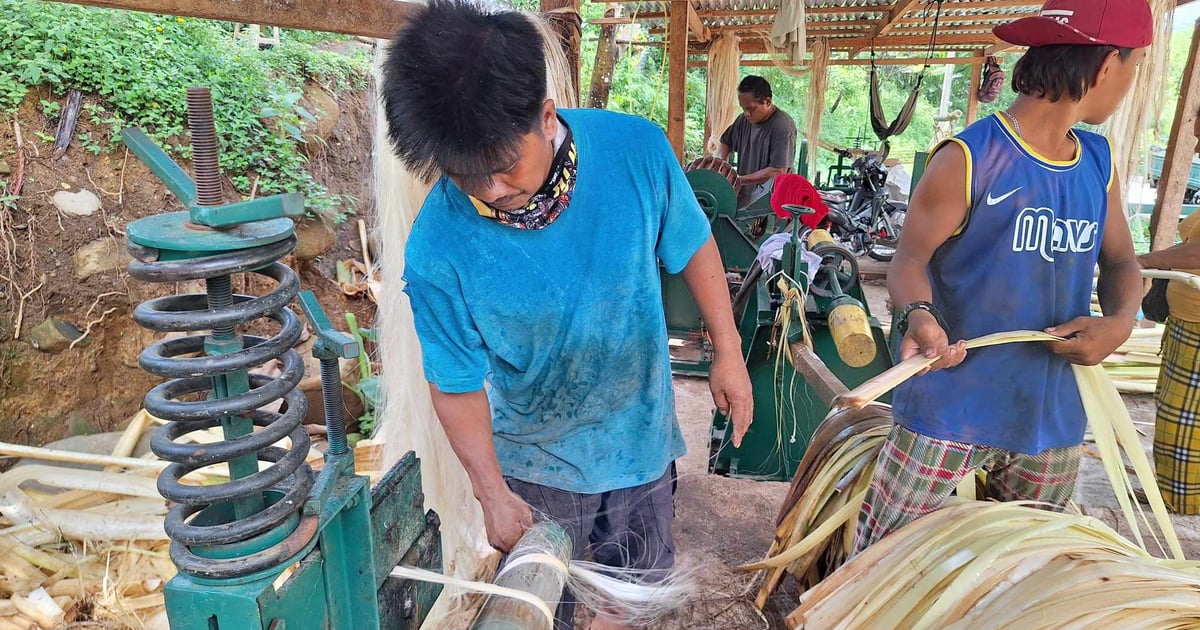 WHY CHOOSE MACHINE-CLEANED ABACA OVER HAND-STRIPPED? | Fudalu