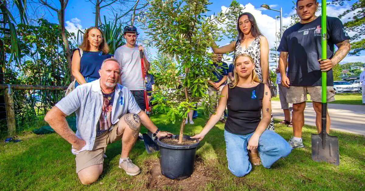 Tree planting at Burleigh Heads | Cammy Duce