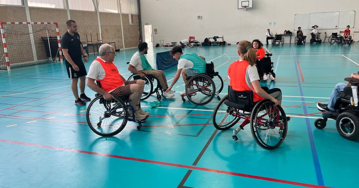 L'inclusion dans le sport : Pourquoi c'est essentiel pour la société ...